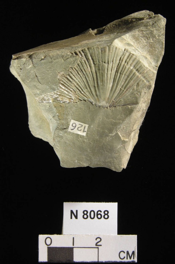 Prehistoric Ohio Memory