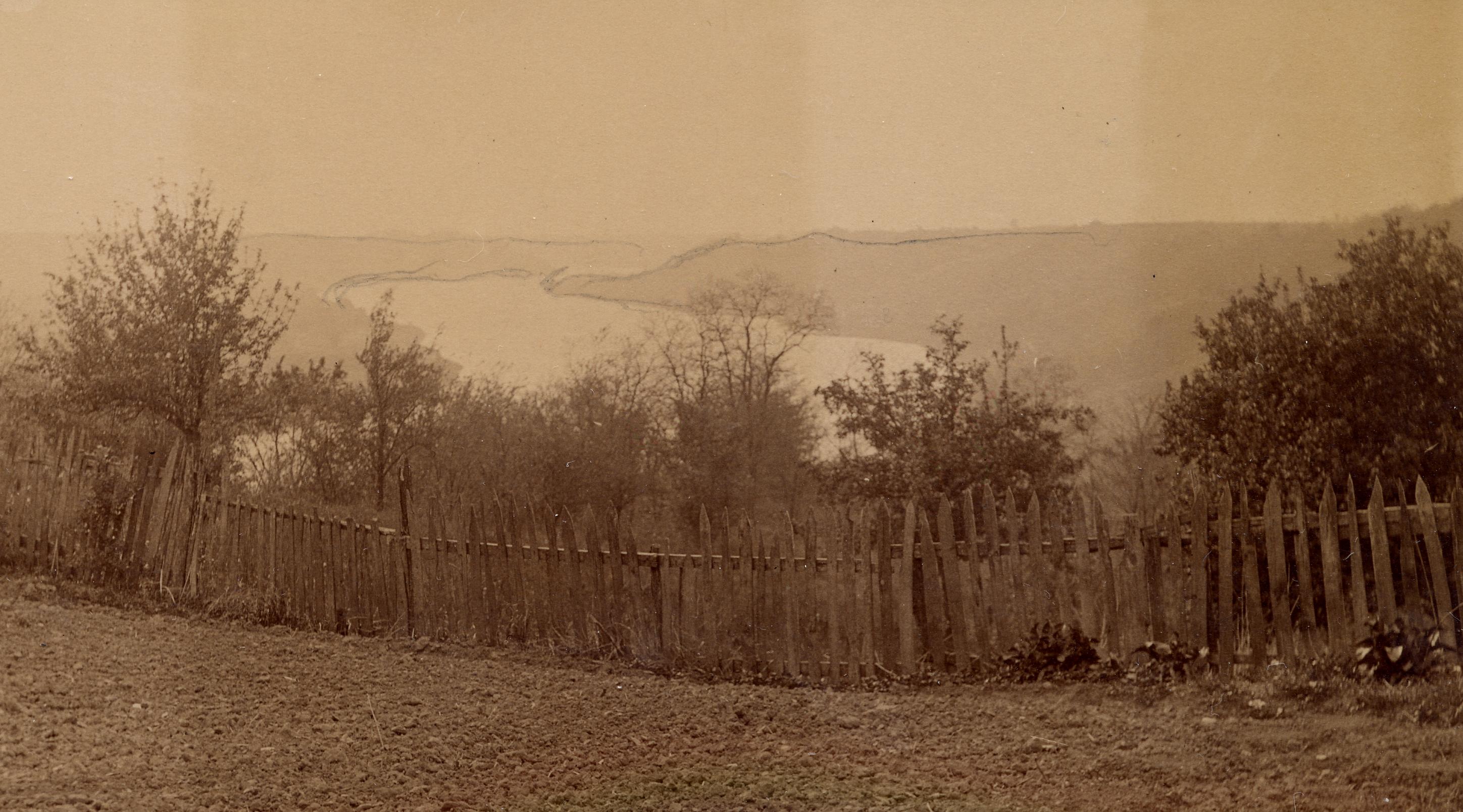 Dig Into the Siebert Collection!