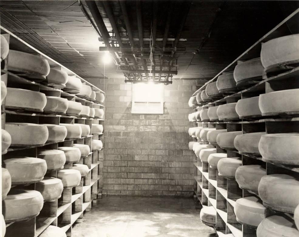 Say “Cheese"!: Ohio’s Dairy Industry