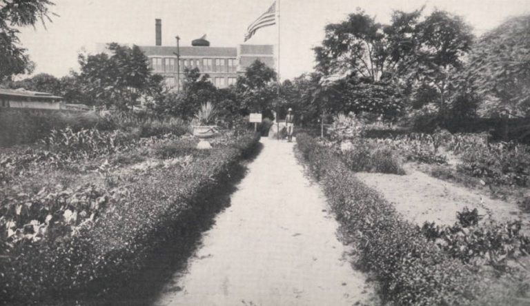 The End and the Beginning of an Age: American Children in World War I
