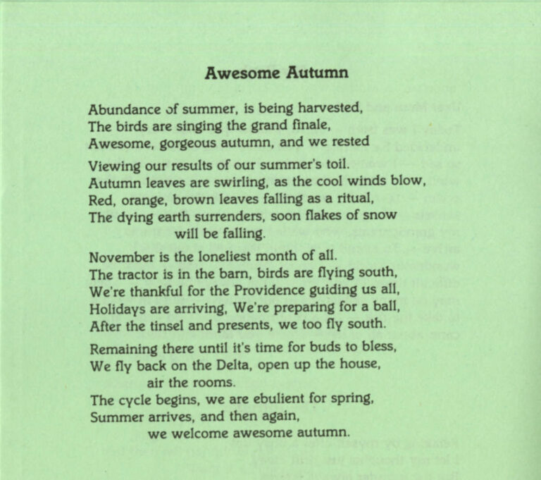 Fall-ing into Autumn