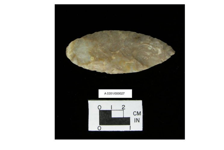 Rock Out!: Fossil-Hunting in Ohio